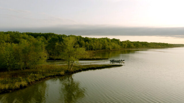 A New Name for Asian Carp to Protect the Great Lakes - Tetra Tech