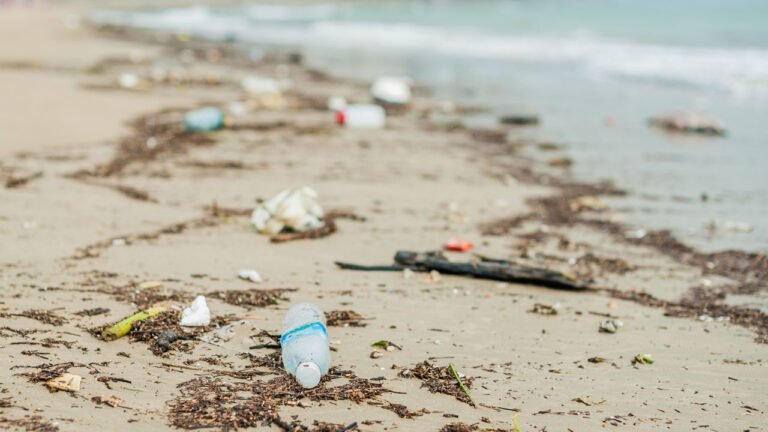 How Marine Debris Impedes Coastal Tourism and Economic Development ...