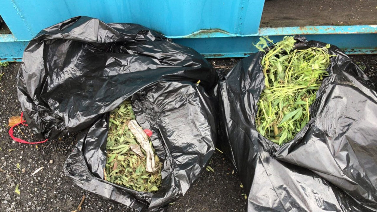 Organics Management and Waste Diversion - Tetra Tech